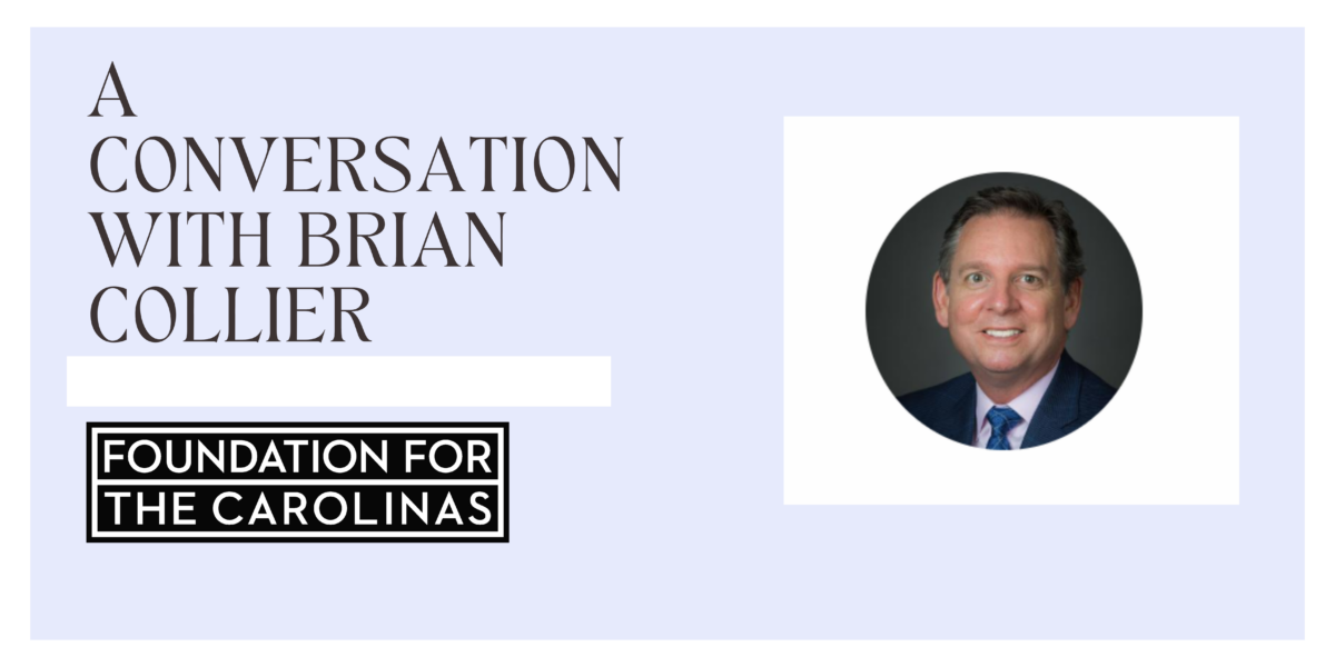 About Freedom School Partners